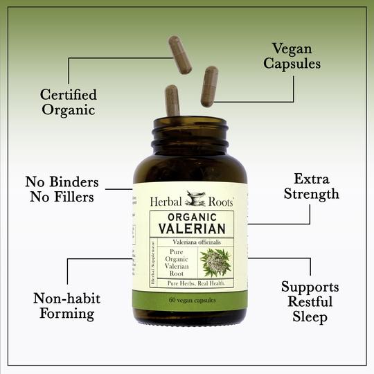Pure Valerian Root in Caps - 60 Counts with 500 mg – Herbal Roots
