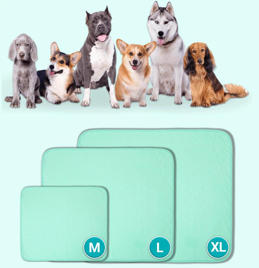 Quick Dry Pee Pads - Dry Guard™ Reusable Pads - Potty Buddy™