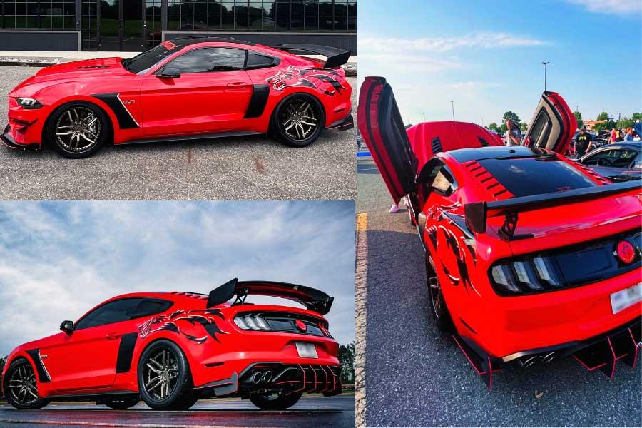 MAXL ONE™ with Triphene - MAXL®