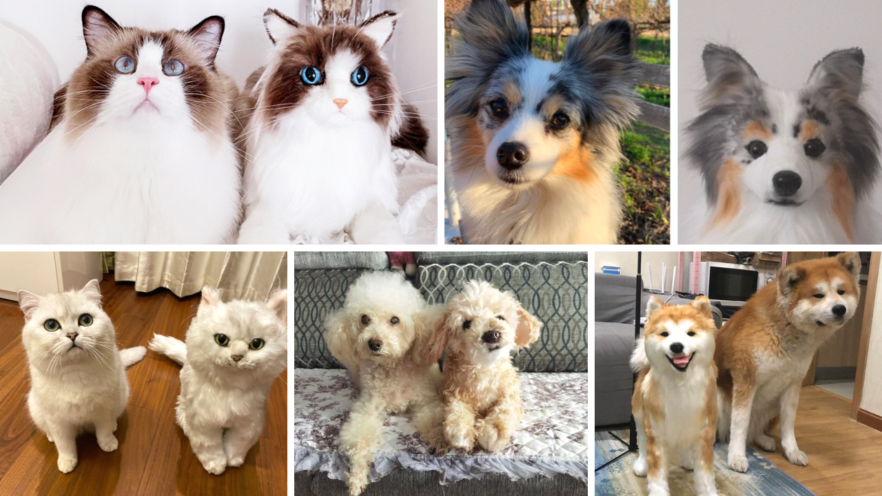 Petslify® Official US Website | Custom Pet Stuffed Animals