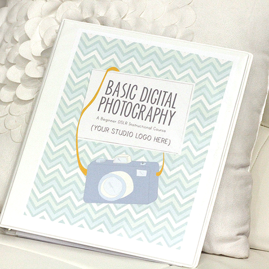 teach basic photography classes