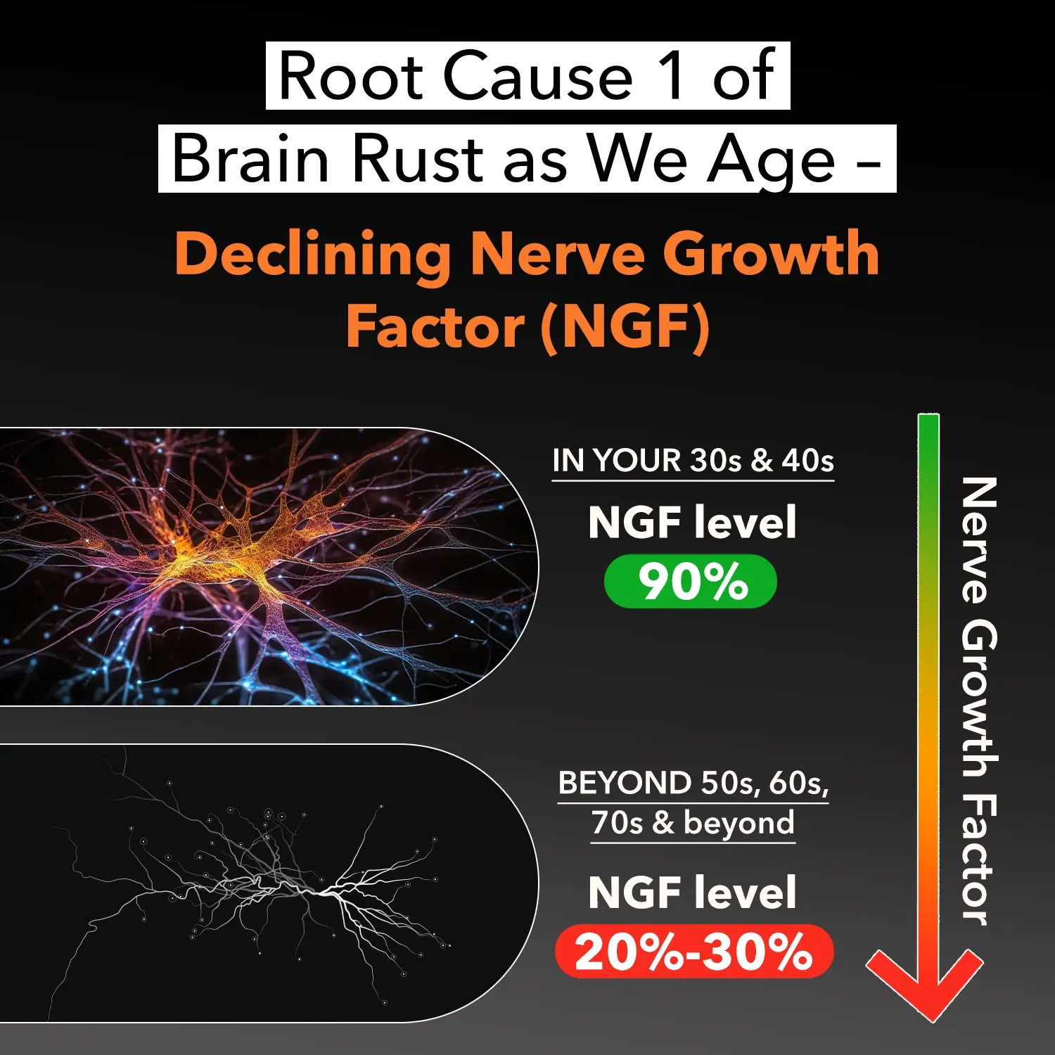 Breakthrough Research Reveals… The Hidden Root Cause of Memory Lapses,