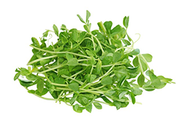 hair and scalp synergy for thinning hair email