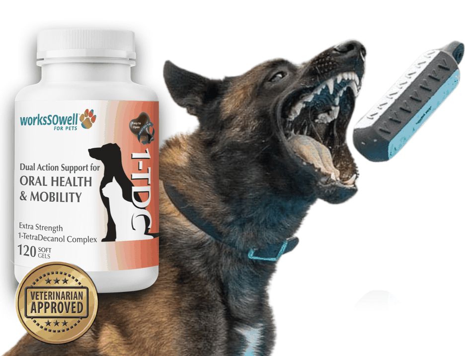 1-TDC Official Joint Supplement of IDS