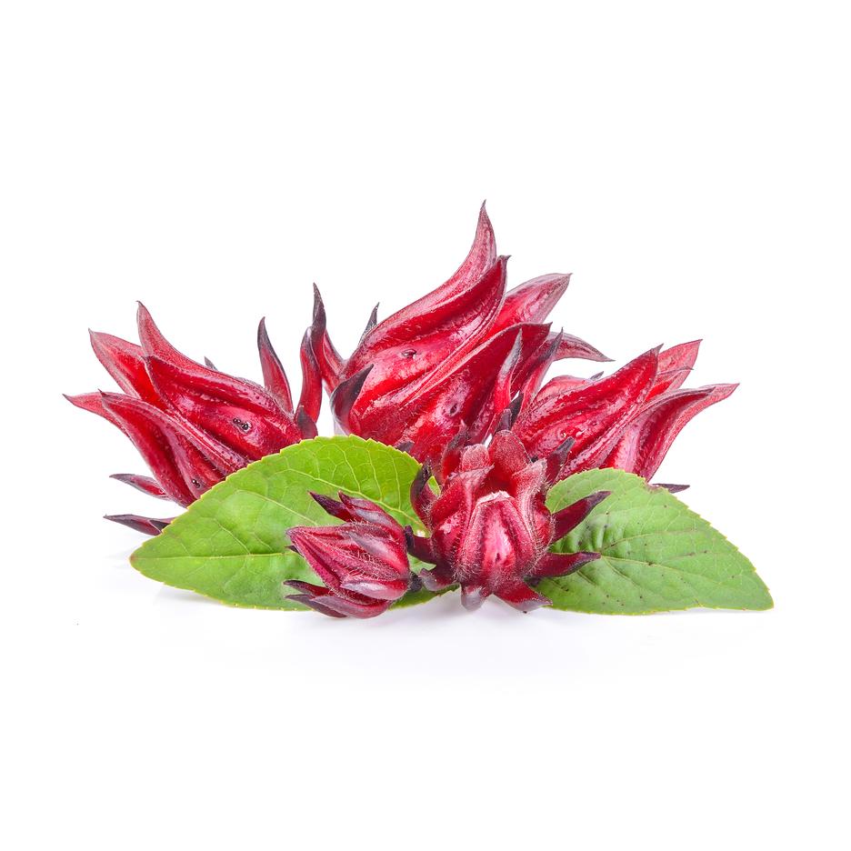 Pure Freeze-Dried Roselle Hibiscus – Addictive Wellness