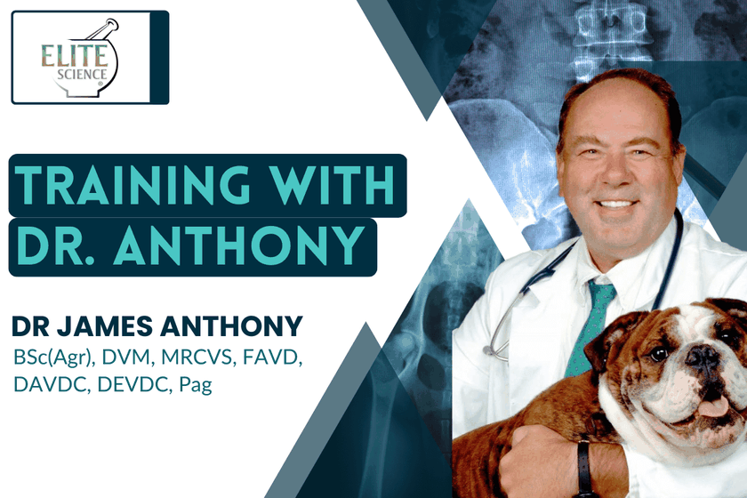 Training with Dr. Anthony