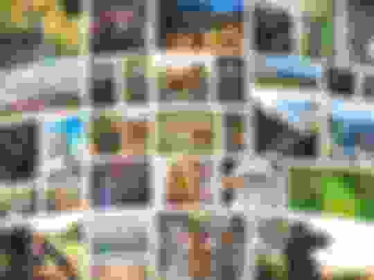 PYTHON-Explorer-10x42 - PYTHON OPTIC