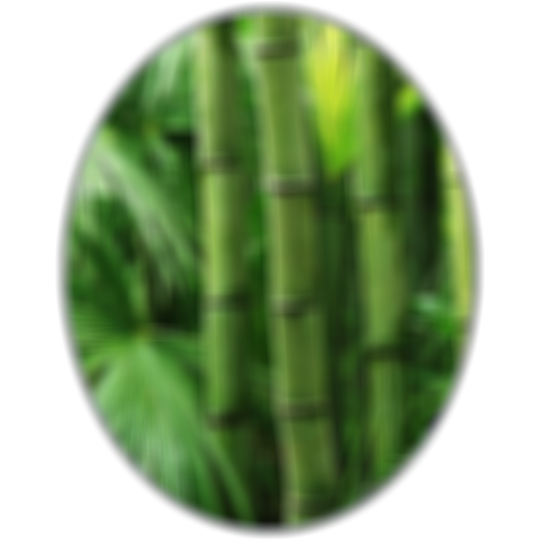 The Advanced Kit — More Hair Naturally