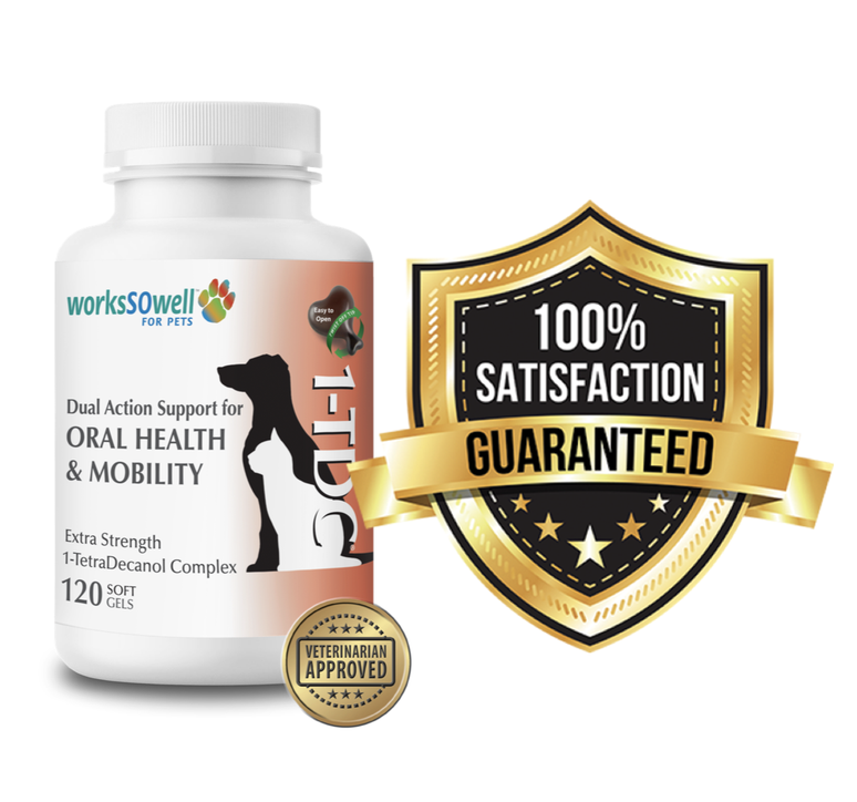 1-TDC Cat landing consumer