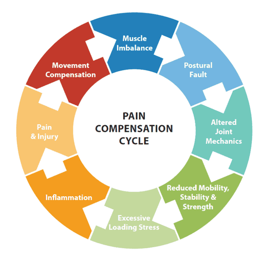 The Cumulative Injury Cycle: A Practical Model for Injury Prevention