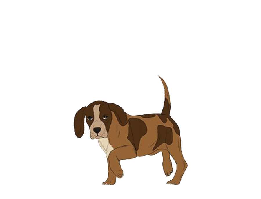 How to Naturally Help Dogs with Arthritis