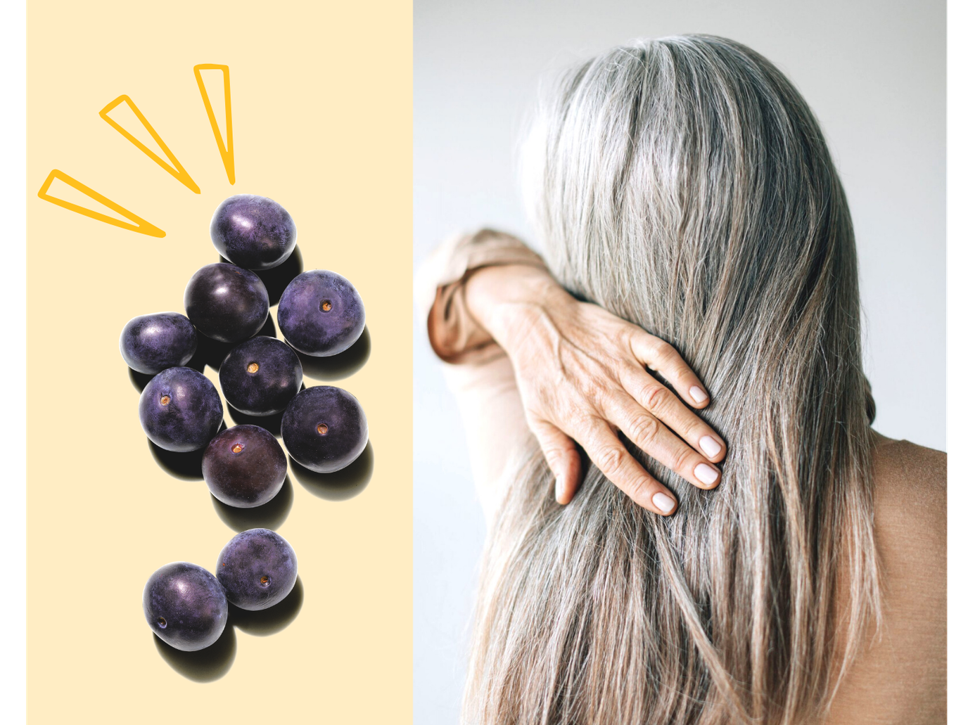 The one berry to solve dry gray hair. – Humby Organics