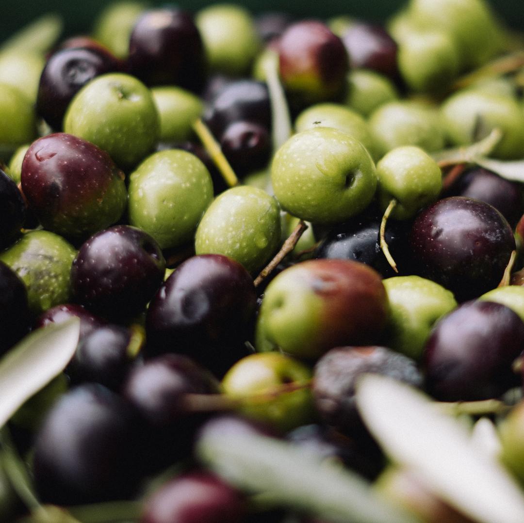 4-Step Italian Skincare Set | 100% Natural & Organic