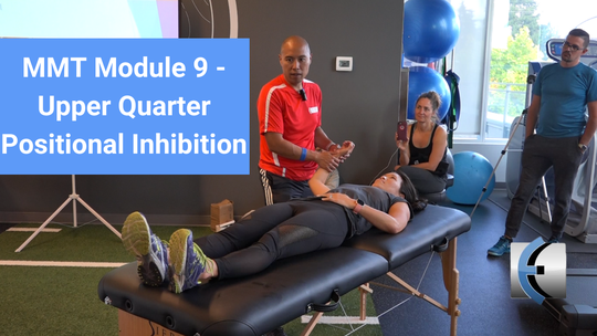 Modern Manual Therapy: The Eclectic Approach to UQ and LQ Assessment a