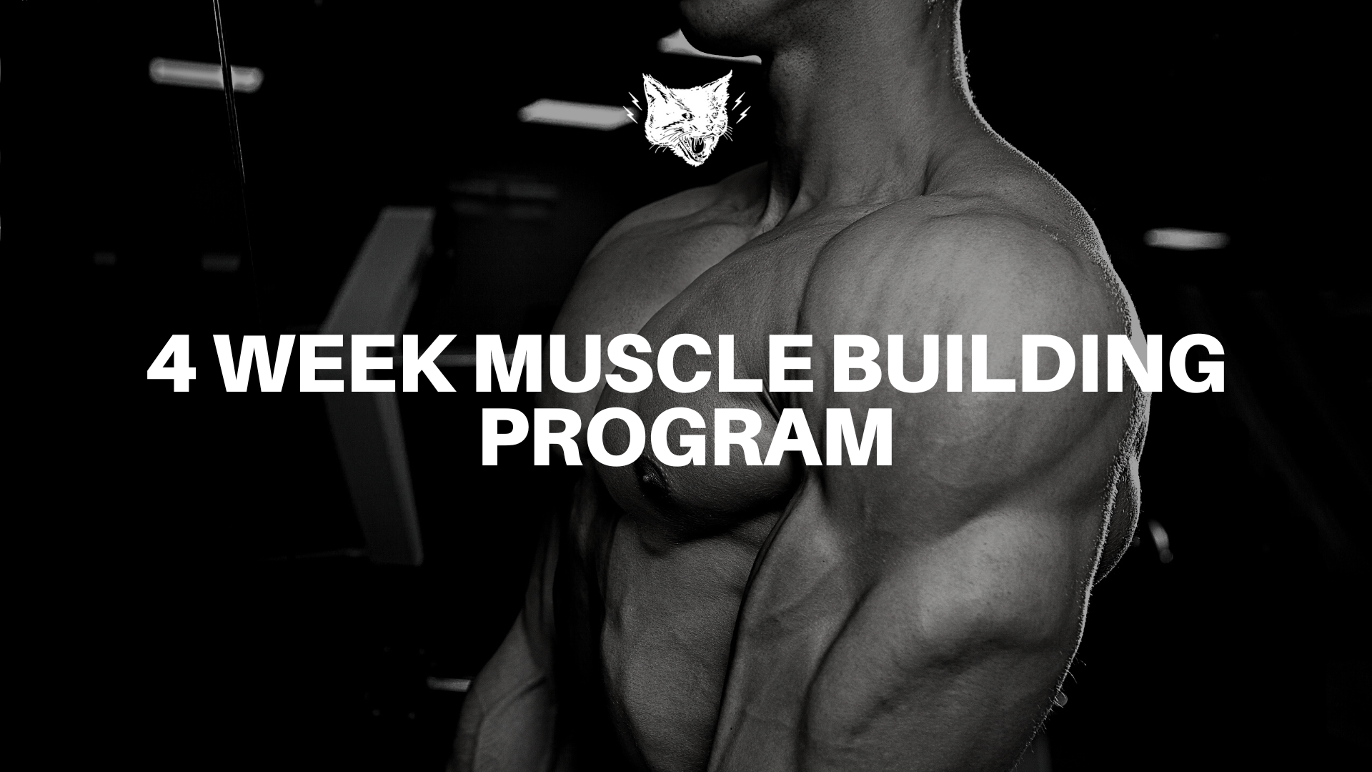 4 WEEK MUSCLE BUILDING PROGRAM – Black Magic Supply