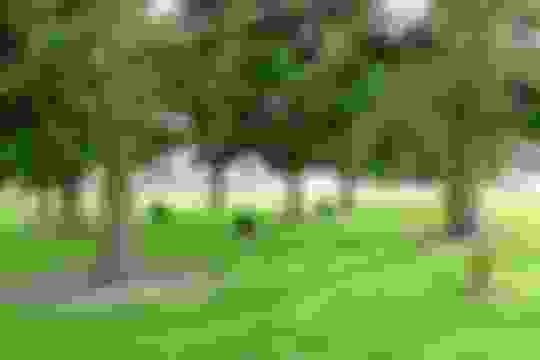 Merribee Gardens Visit — Aussie Gardener