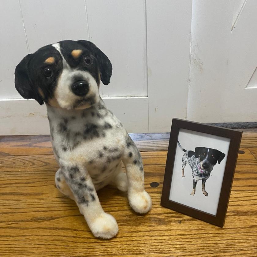 Custom Stuffed Animal of Your Pet | Handmade Plush From Photos