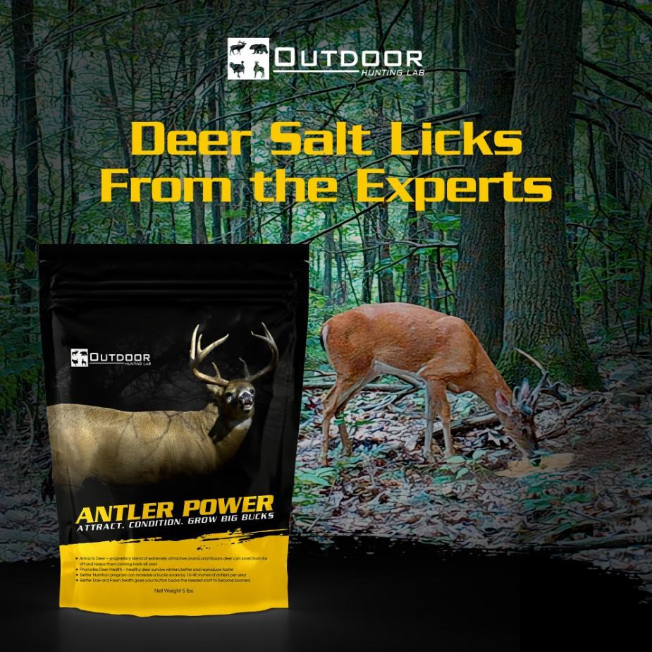 Antler Power Deer Mineral – Outdoor Hunting Lab