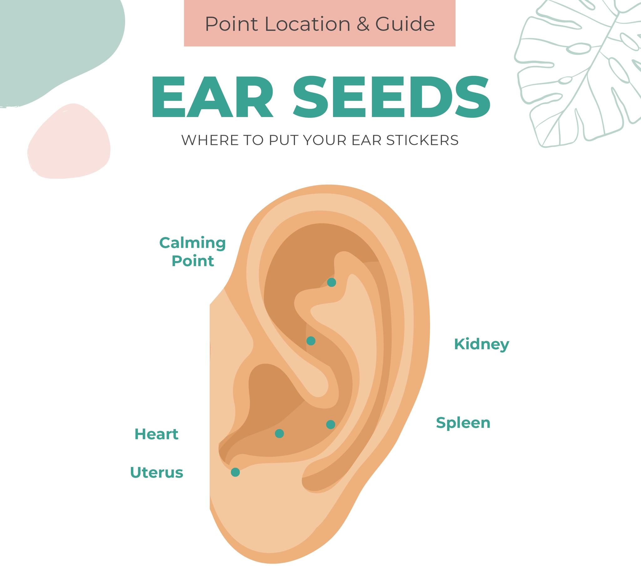 Fallopian Tube Blockage Bundle Guide | Wisdom of the Womb