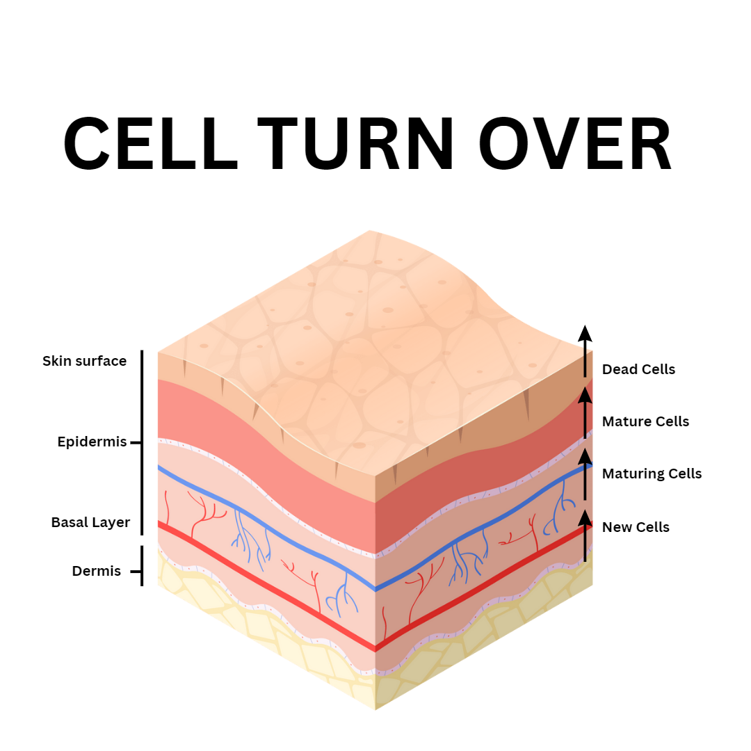 How To Get Rid of Textured Skin from The Face?