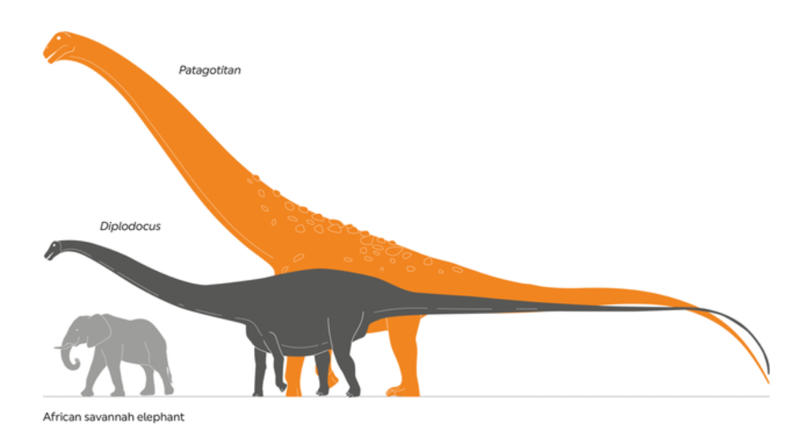 The Adventurer's Newsletter