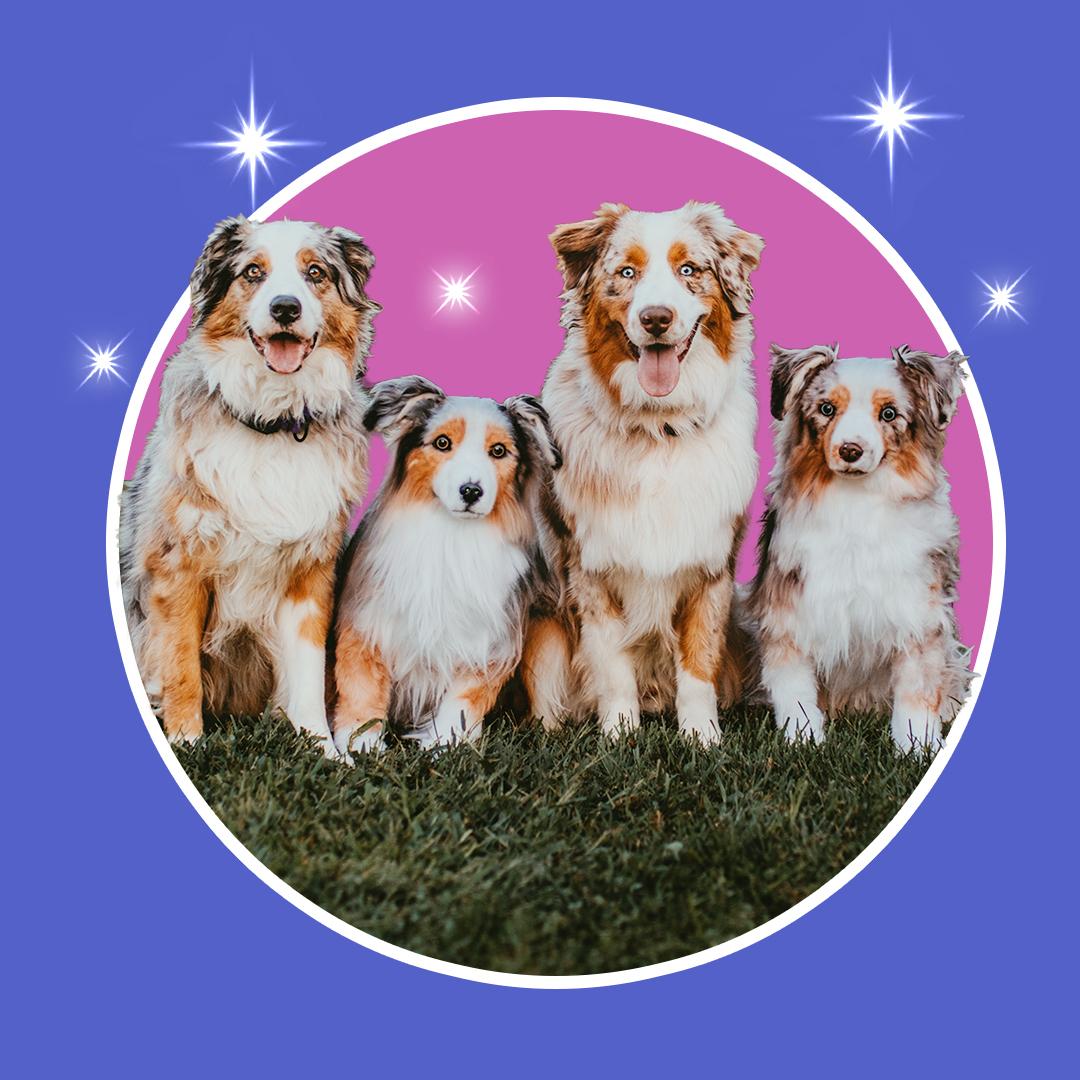 Custom Stuffed Animals | Buy Customized Animals & Custom Plushies