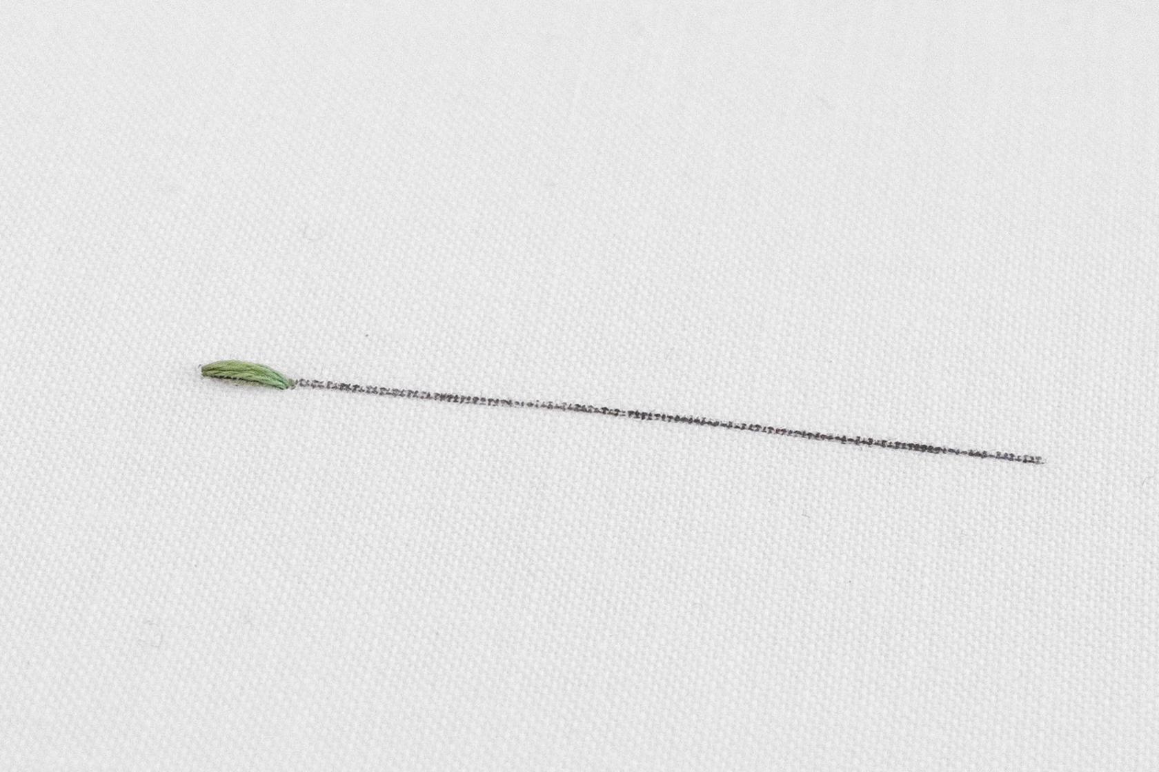 Back Stitch - Learn This Modern Embroidery Technique – Clever Poppy