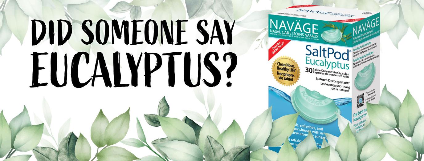 Benefit of Eucalyptus