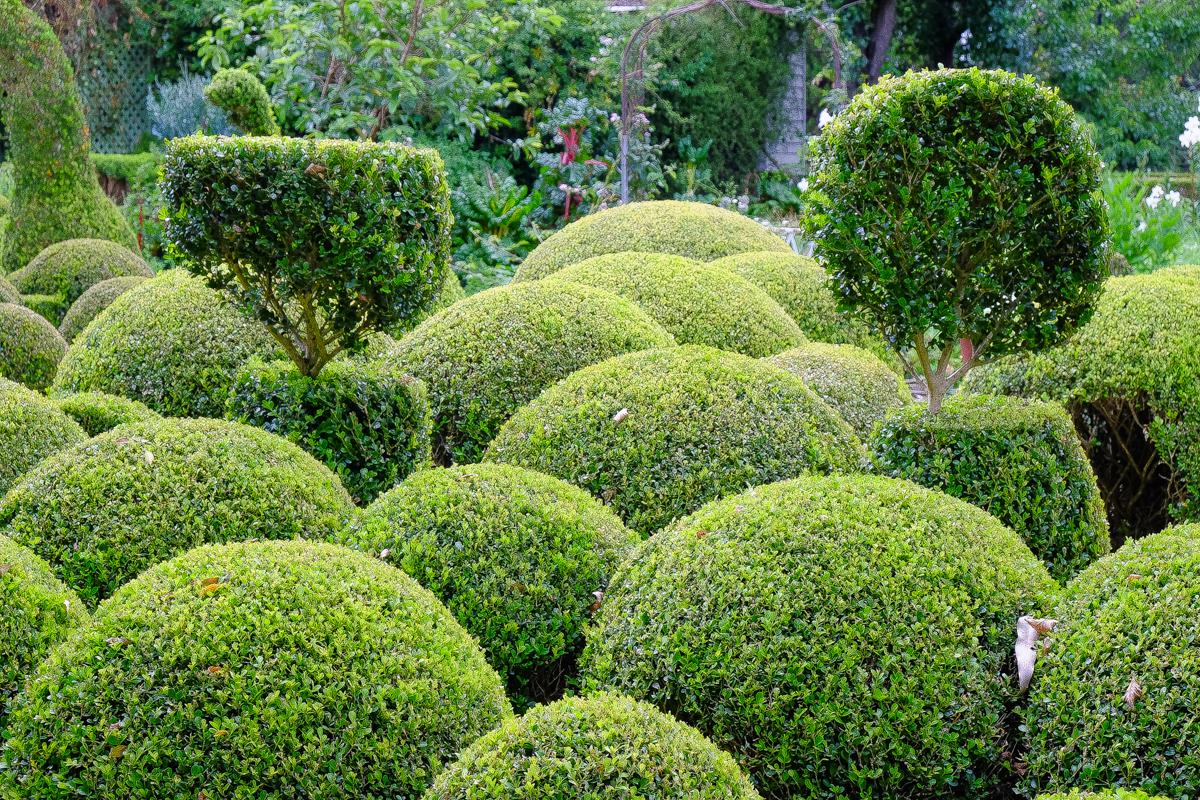 Merribee Gardens Visit — Aussie Gardener