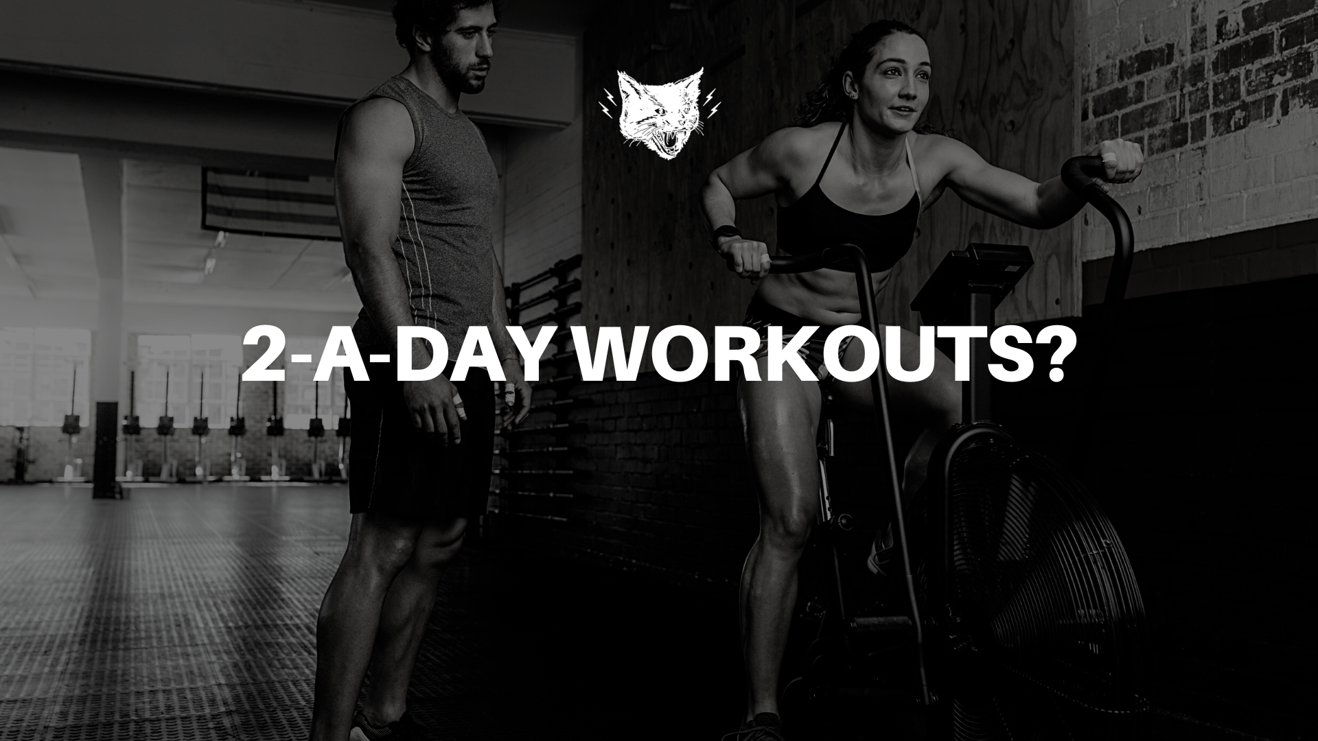 2-A-DAY WORKOUTS? – Black Magic Supply