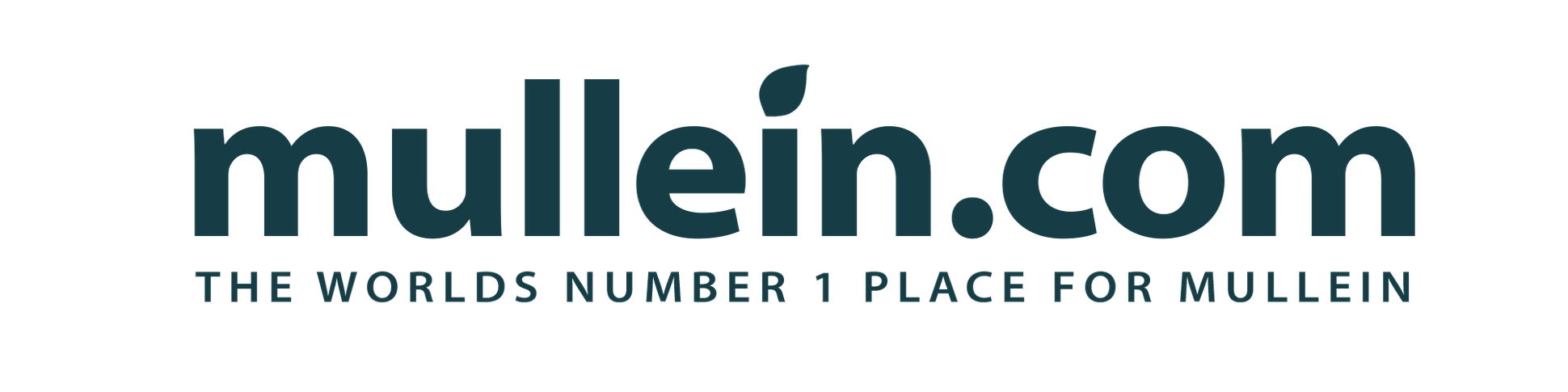 Understanding Oxygen Saturation Levels