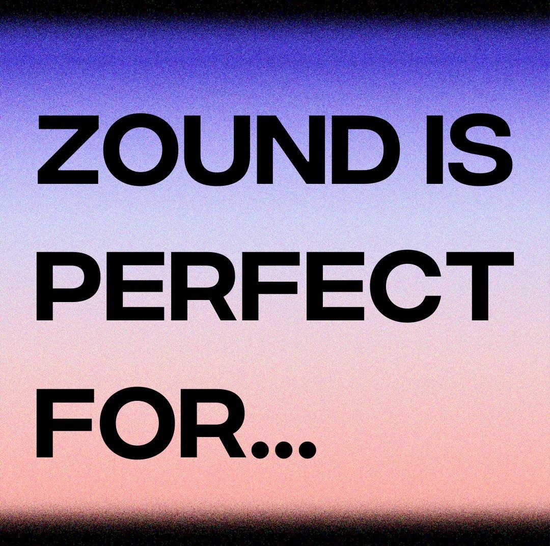 Zound Earplugs