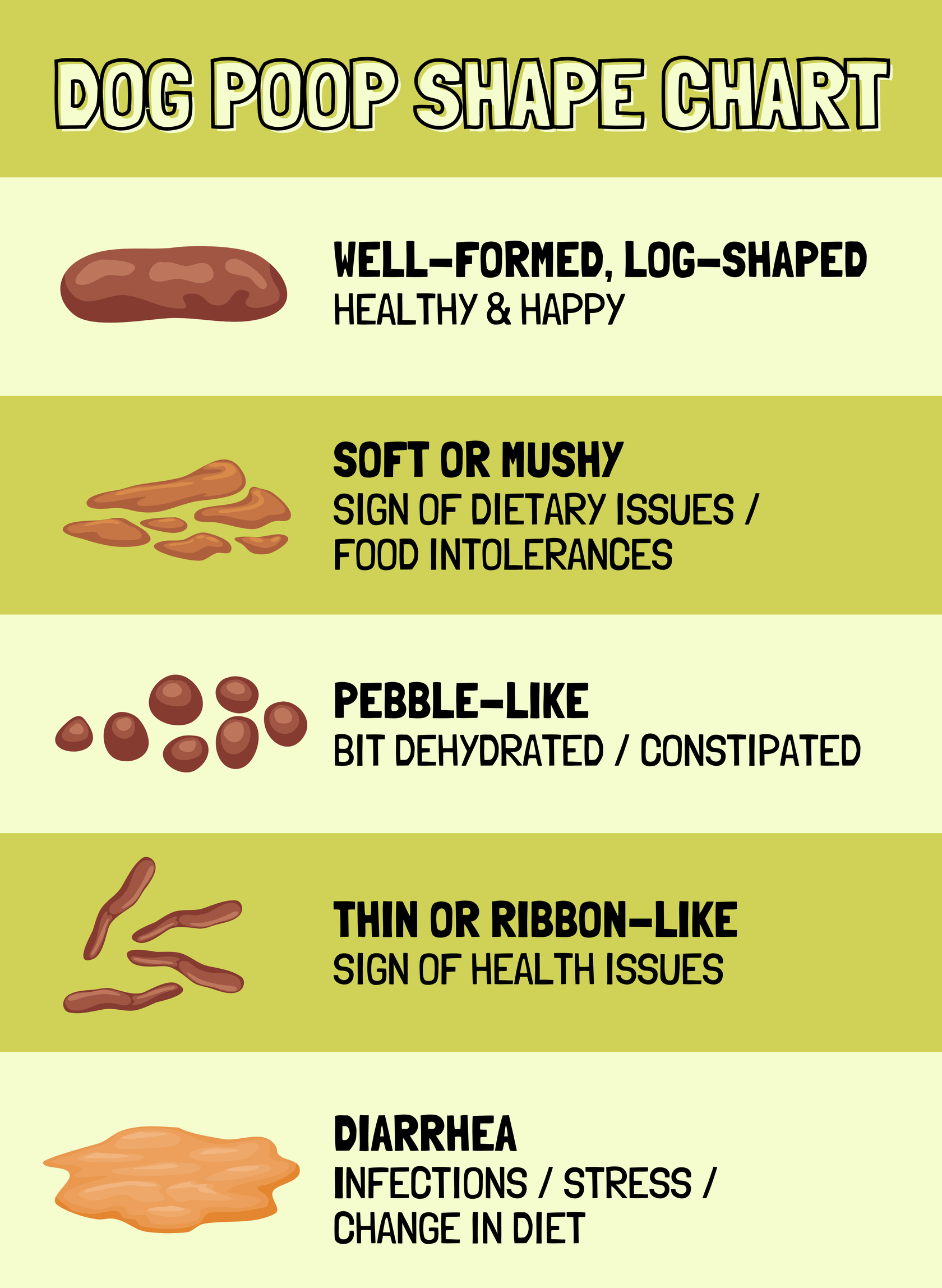Your Dog’s Poop: What It Can Tell You About Their Health and Well-Bein ...
