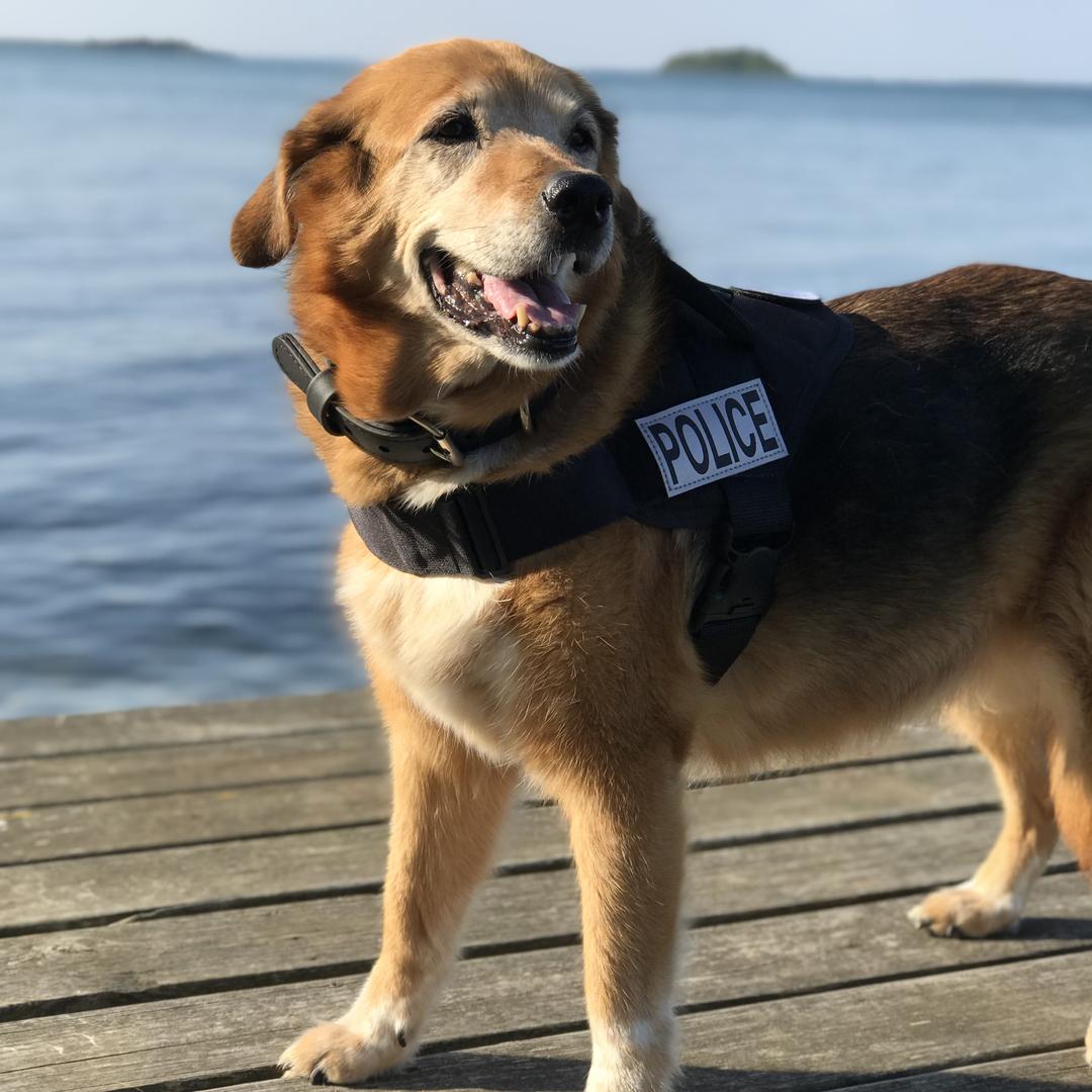 About Us – Project K-9 Hero