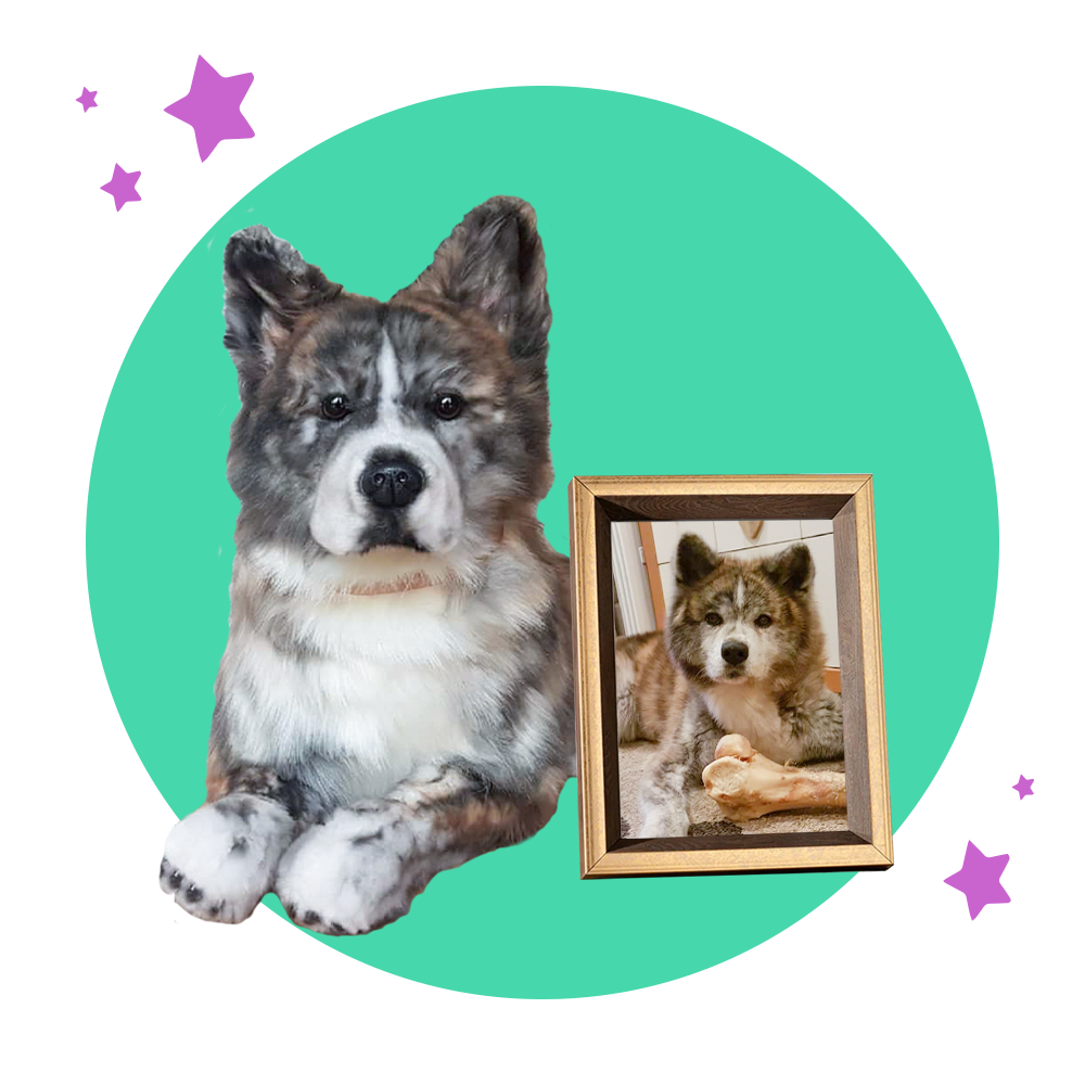 Stuffed Animal That Looks Like Your Pet | Customize a High-Quality Dog ...