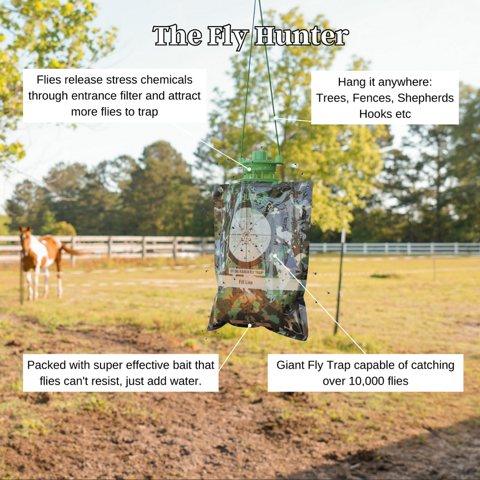 The Fly Hunter - Effortless Fly Control – The Ranch Pest Control