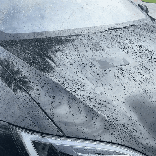 MAXL SoftSorb® Drying Towel - MAXL®