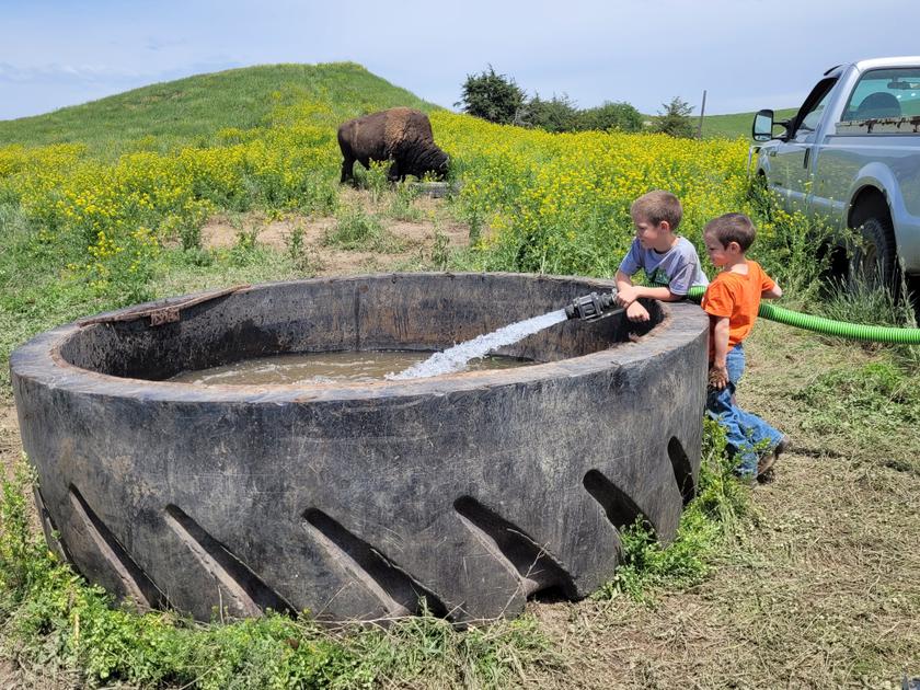 Bulk Beef Cold Conversion Page