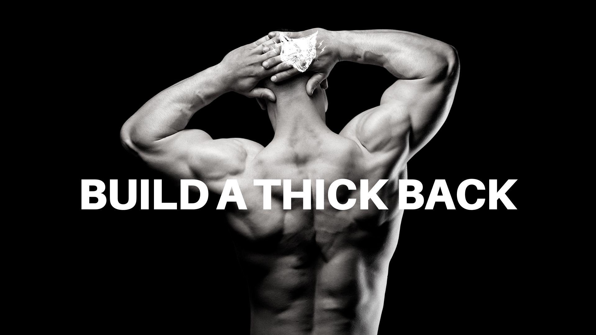 3 Exercises For A Thicker Back – Black Magic Supply