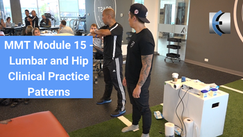 Modern Manual Therapy: The Eclectic Approach to UQ and LQ Assessment a