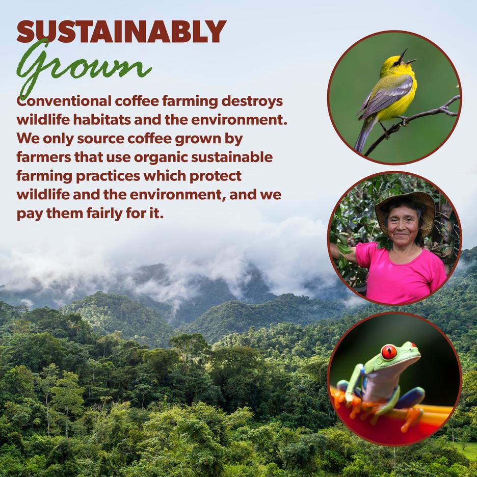 Black Magic Organic Blend - Dark & Bold Coffee