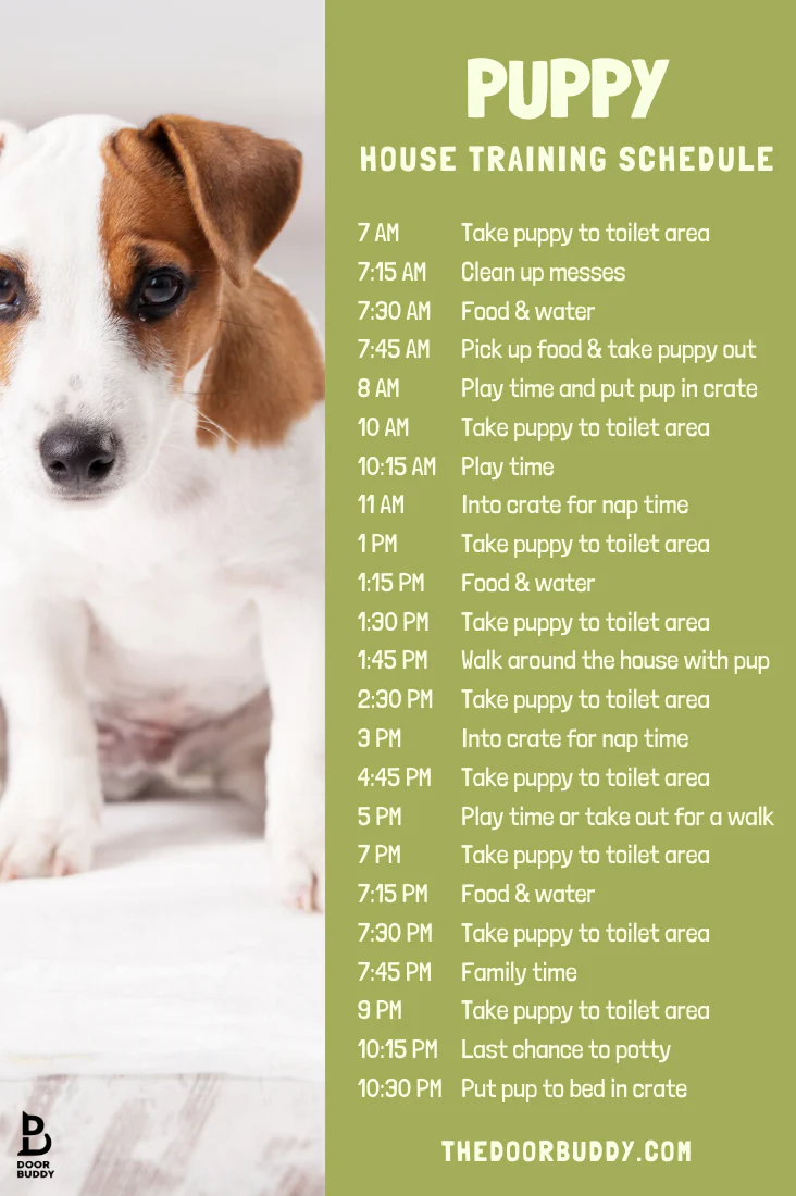 House Training For Puppies – Door Buddy