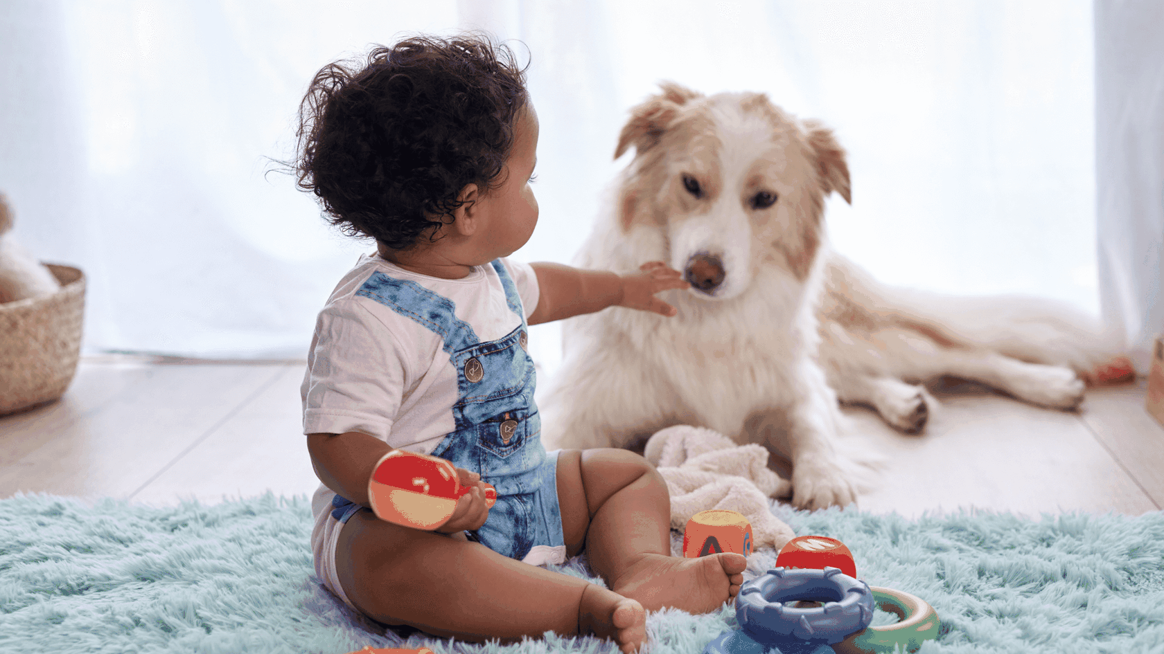 How to Teach your Child to be Kind to Pets – Door Buddy