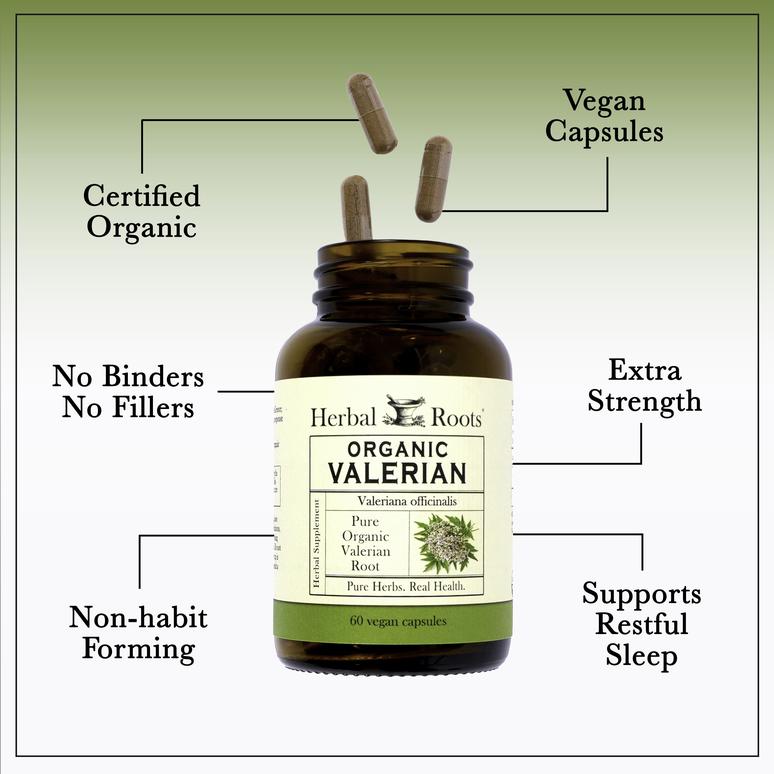 Pure Valerian Root in Caps - 60 Counts with 500 mg – Herbal Roots
