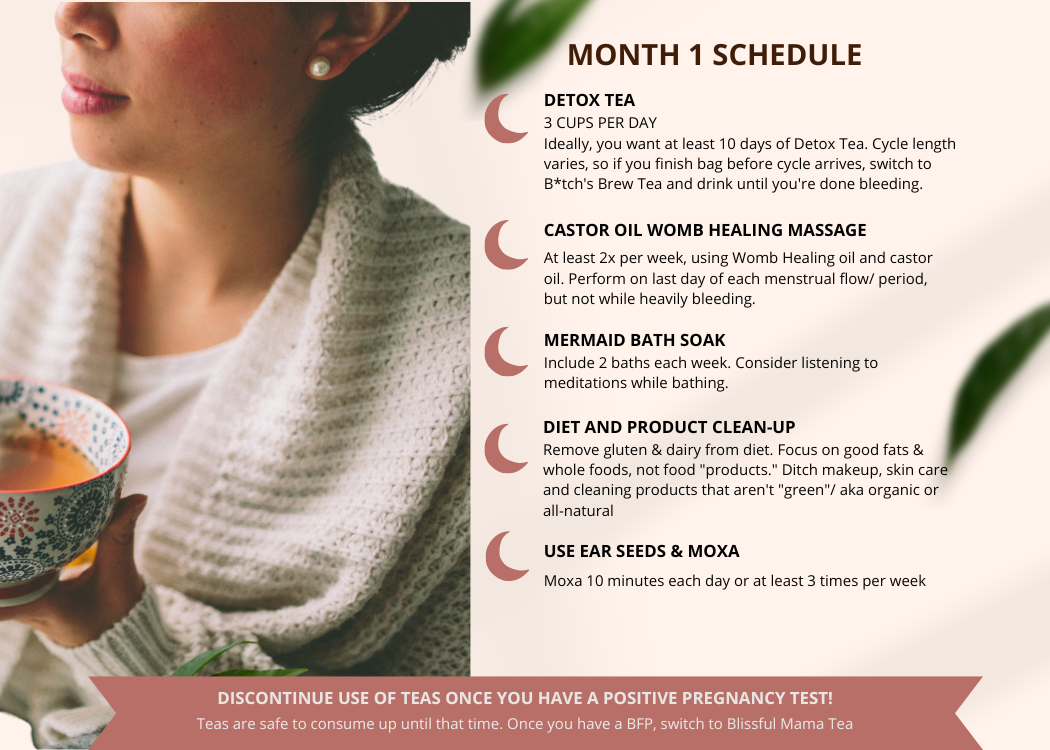 IVF/IUI BUNDLE SUPPORT GUIDE | Wisdom of the Womb