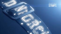 DanForce Bold- S page