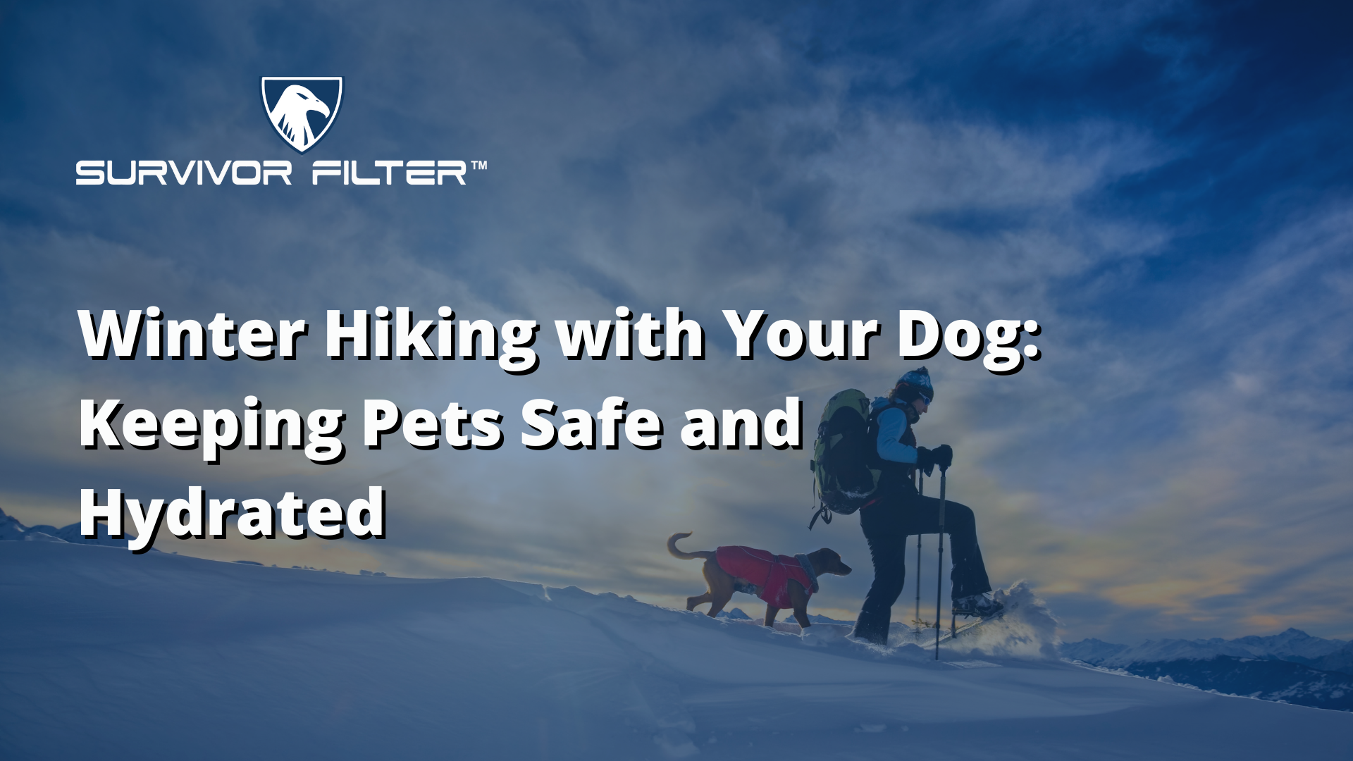 Winter Hiking with Your Dog: Keeping Pets Safe and Hydrated – Survivor ...