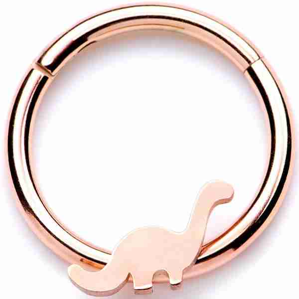 The Piercing Dictionary: Nose Piercings – BodyCandy