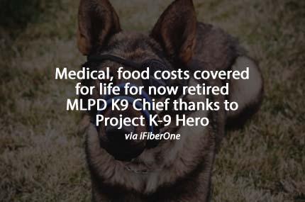 Project K-9 Hero News & Stories