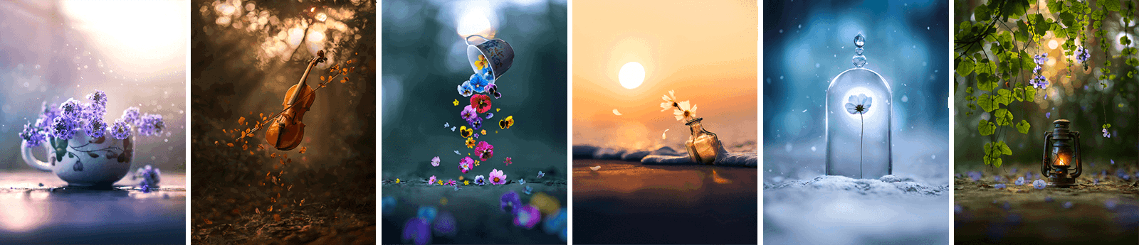 The Magical Photography Spellbook